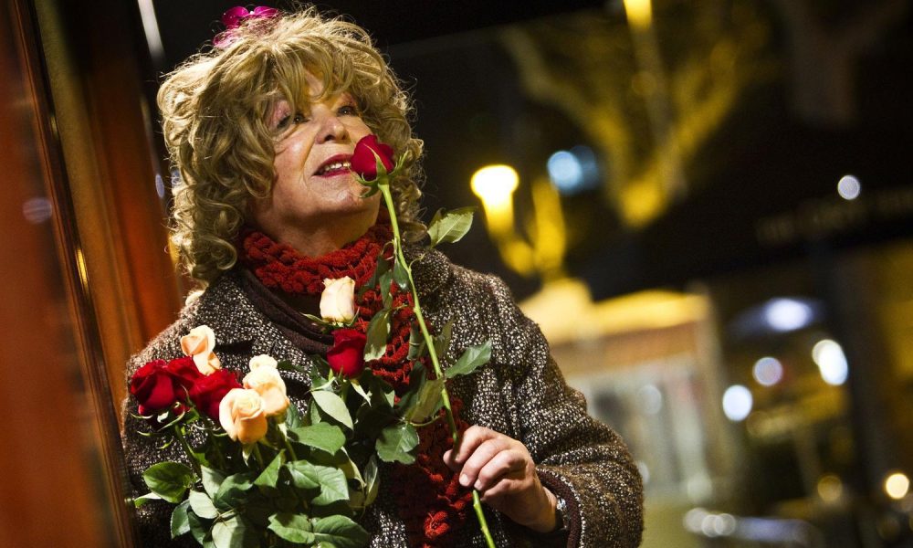 Tres años sin 'Violeta la burra'