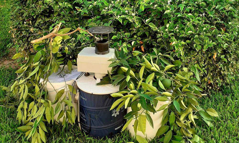 Trampas con sensores para detectar mosquitos transmisores de enfermedades