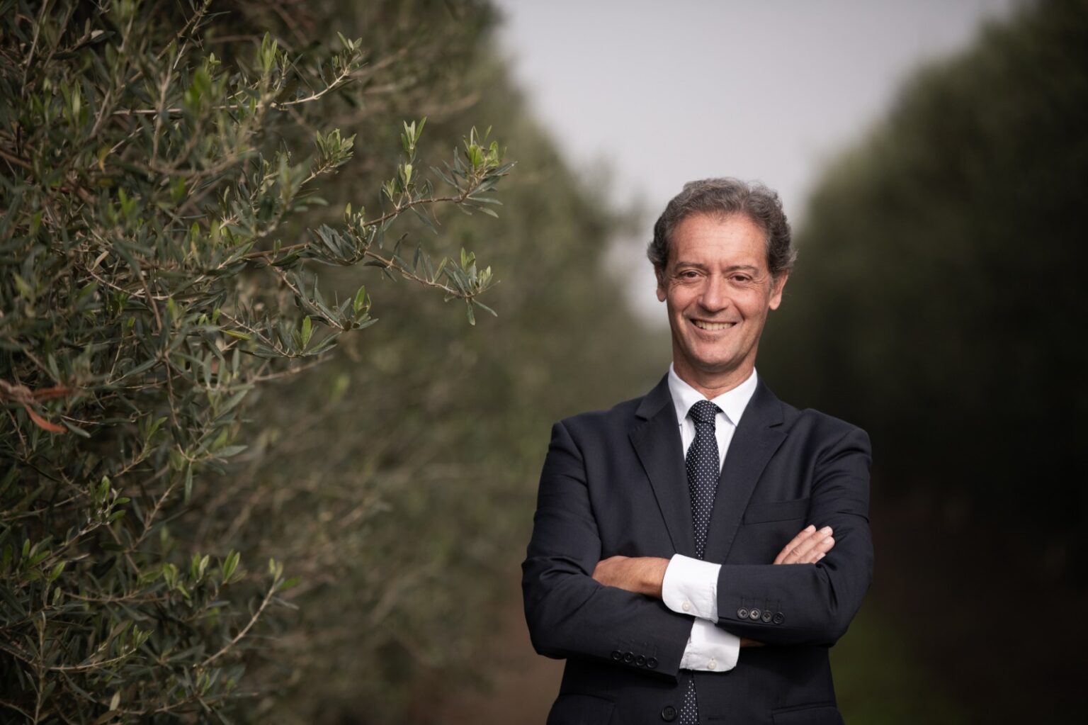 Sergio Antón, nuevo director general de Grupo AG Olives