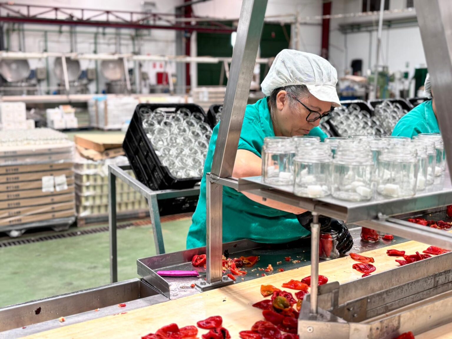 El Humoso, el icono del trabajo jornalero en Marinaleda, vuelve a ...