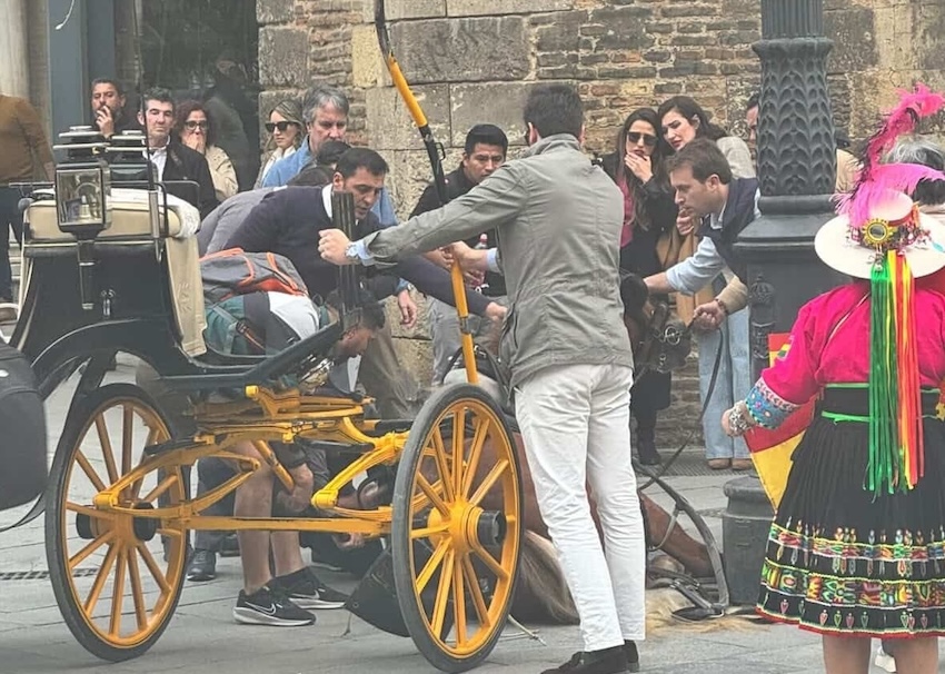 Un caballo se desboca asustado en el centro de Sevilla - AION SUR