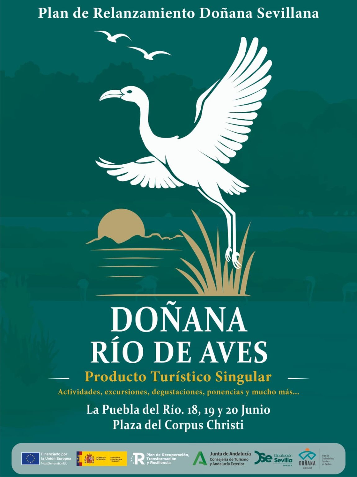 La Puebla del Río acoge la feria 'Doñana Río de Aves' - AION SUR