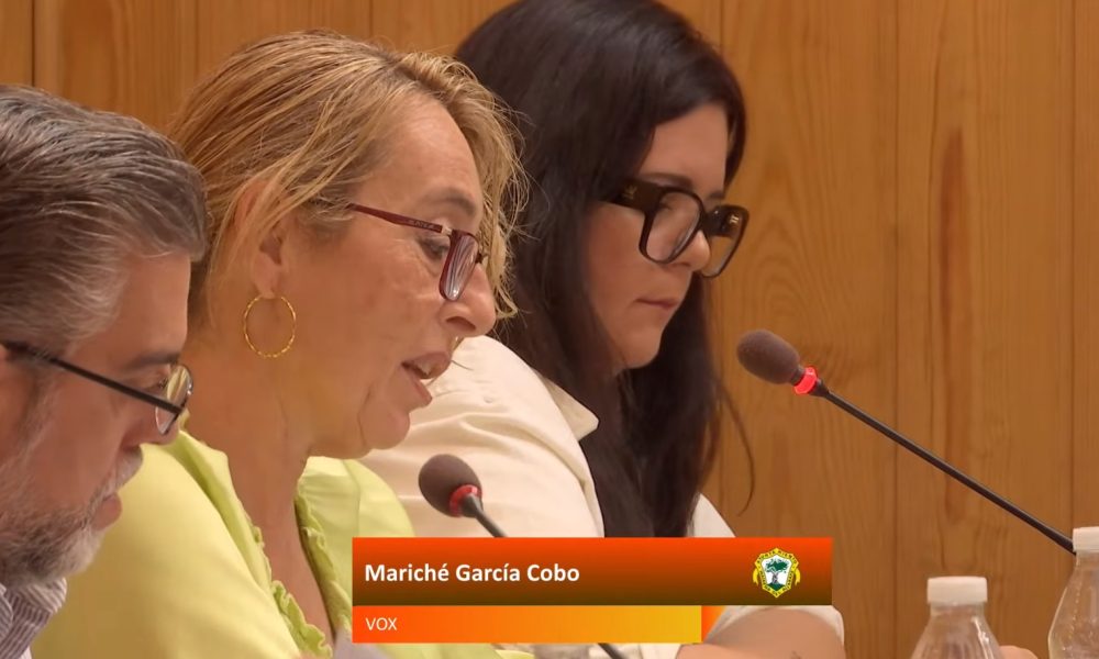 Una concejala de Vox de Mairena del Aljarafe llama "payasa" a la ...